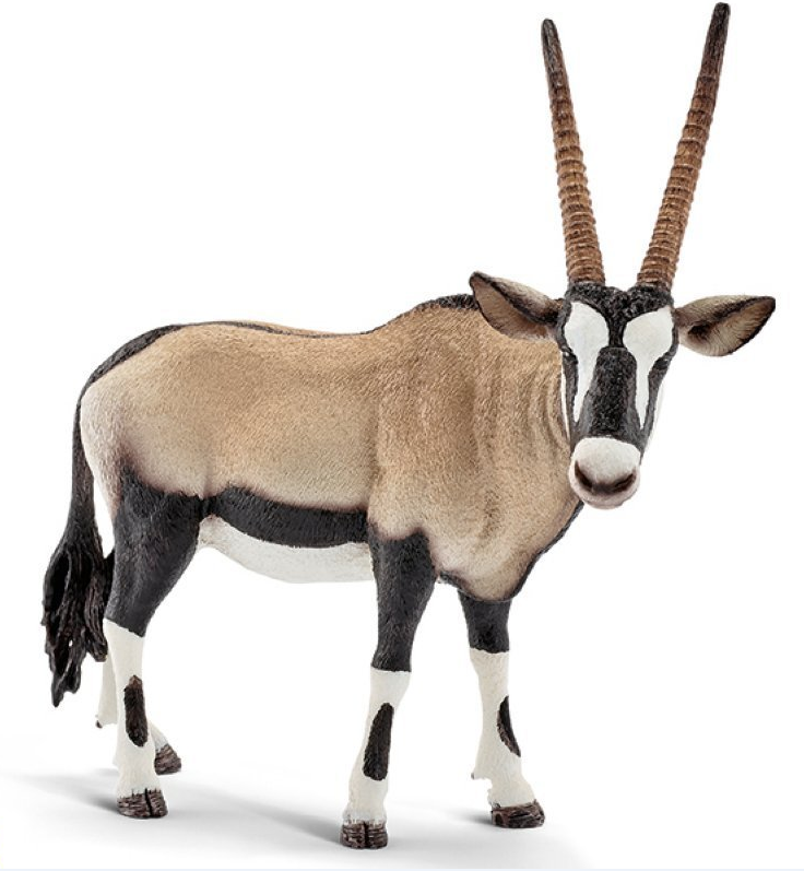 Das beste Shopsystem 2021 | Großer Vergleich | Kassenzone